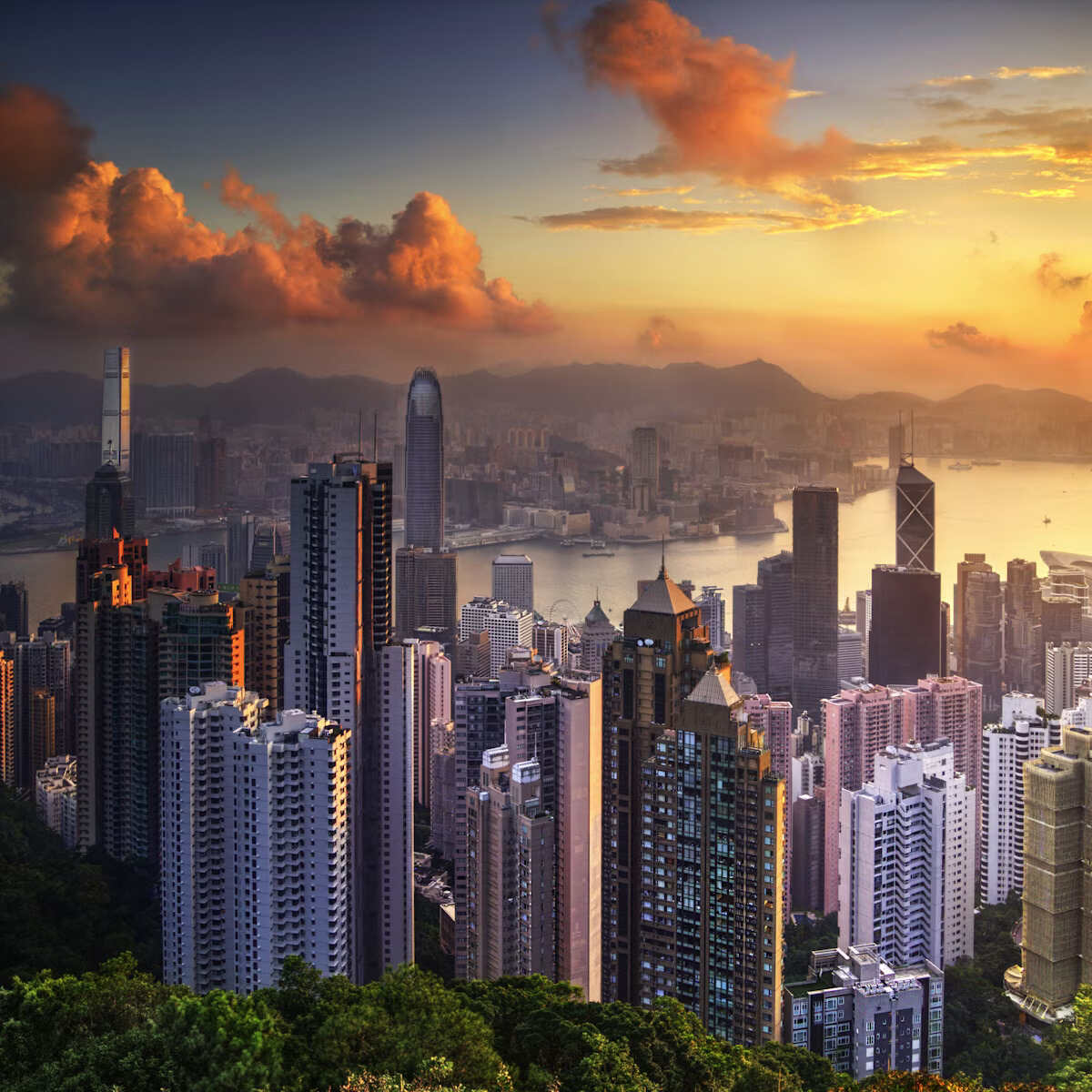 🇭🇰 Explore Hong Kong - Go Bus Trips